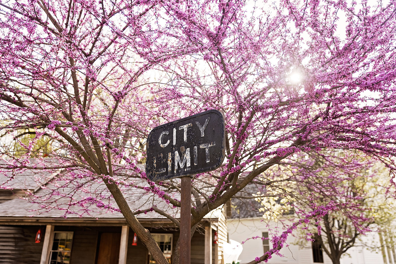 Ward Meade Park | Topeka, KS - littleleapling.com