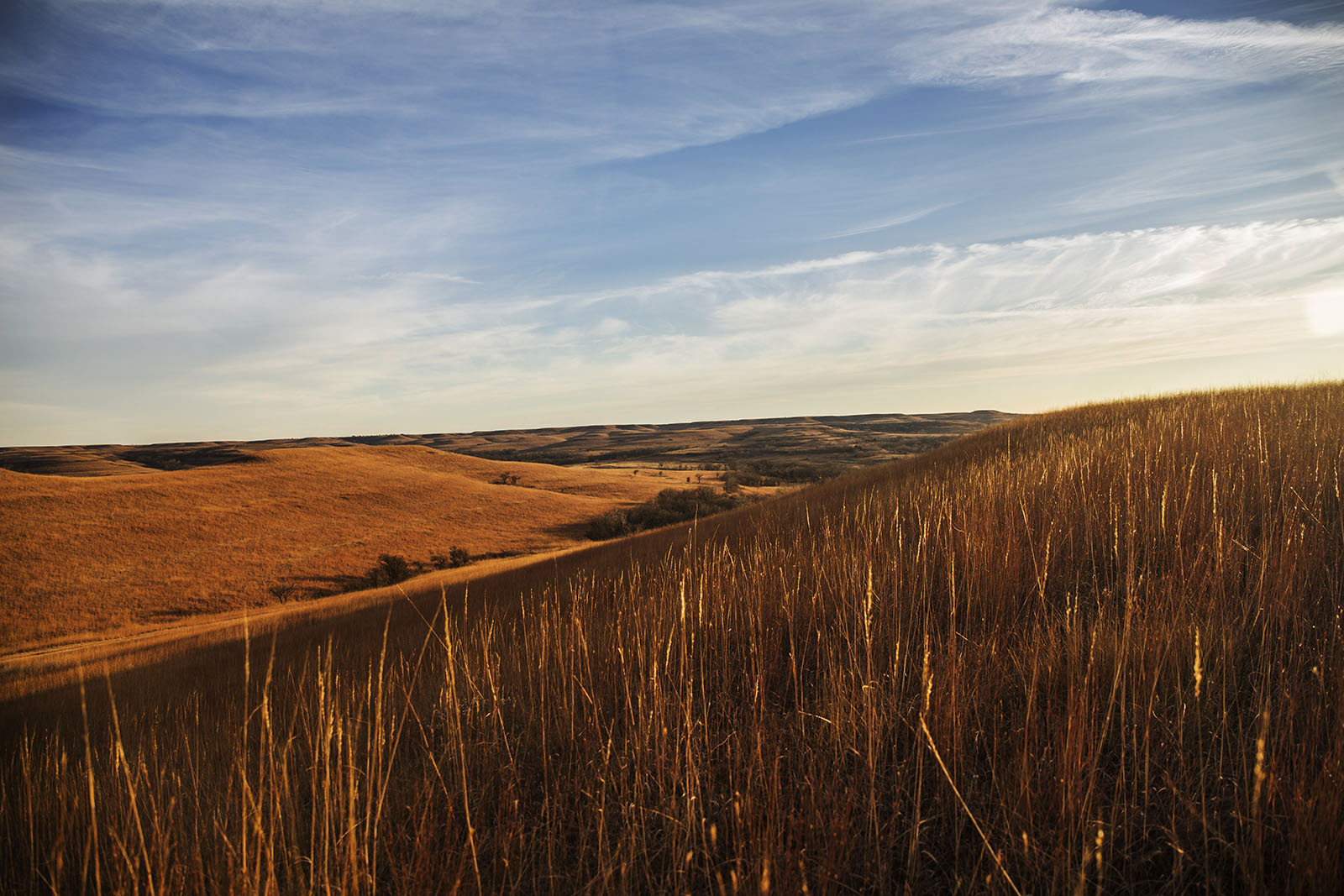 Konza Prairie | Manhattan, Kansas - littleleapling.com