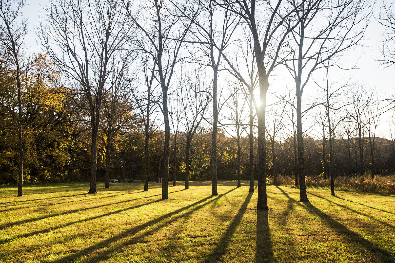 Wildcat Park | Manhattan, Kansas - littleleapling.com