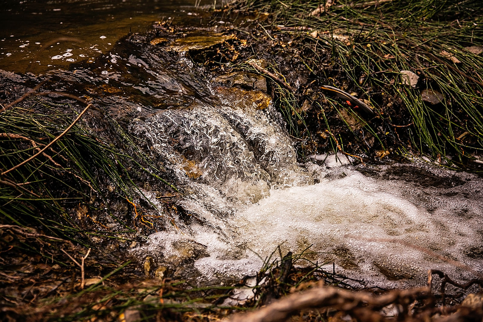 Geary Falls | Junction City, Kansas - littleleapling.com