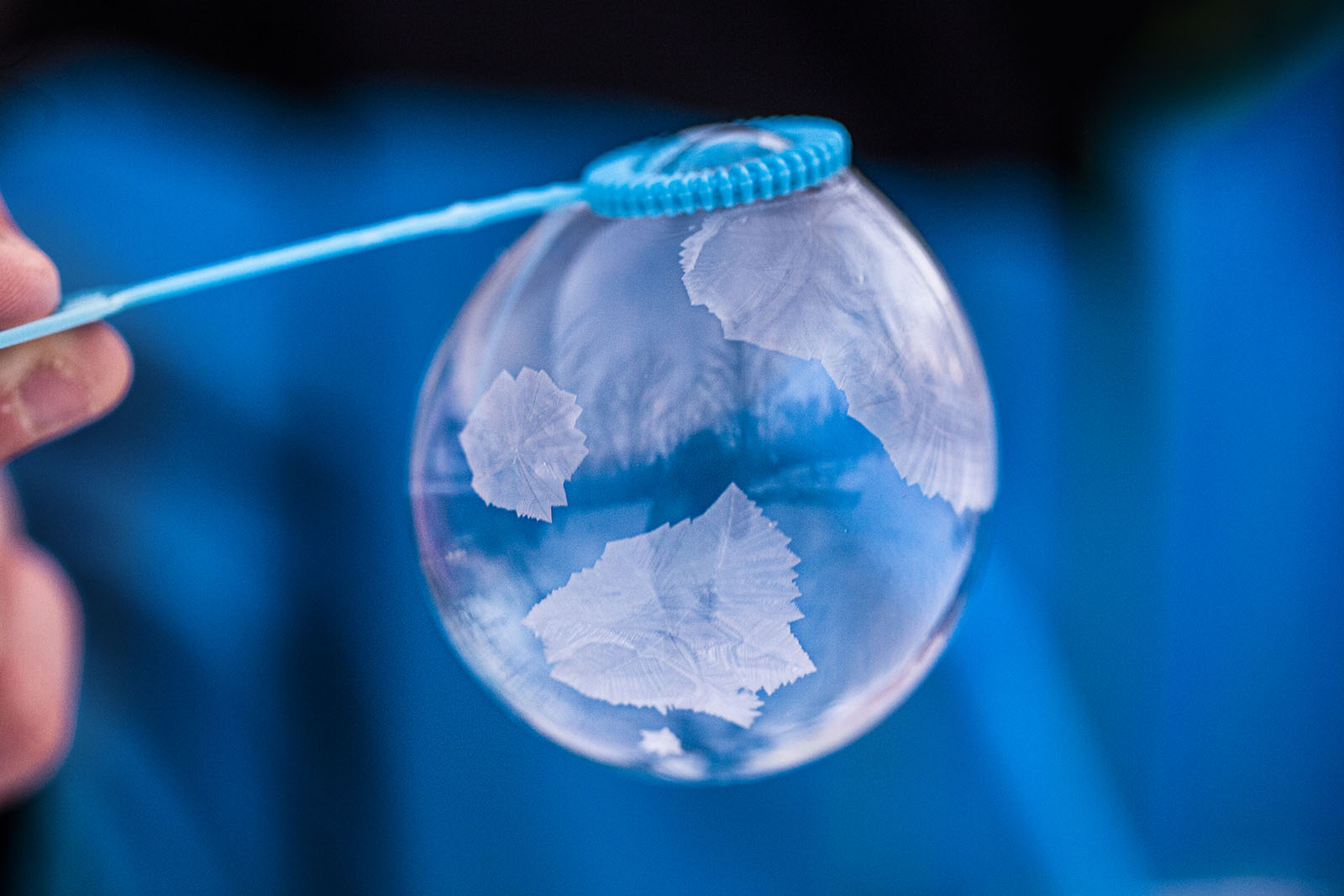 How to Freeze Bubbles - littleleapling.com