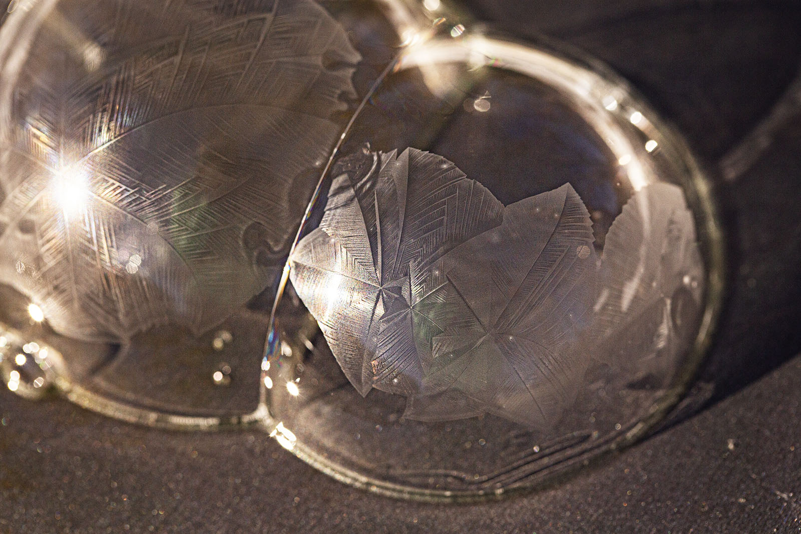 How to Freeze Bubbles - littleleapling.com