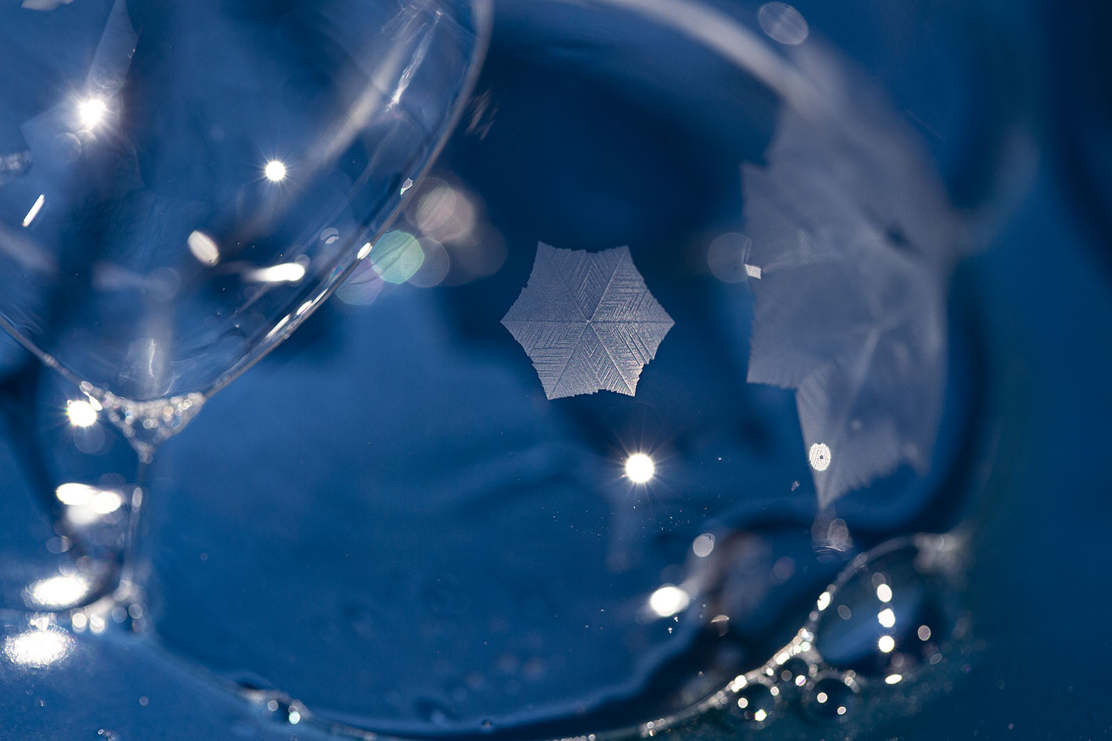 How to Freeze Bubbles - littleleapling.com