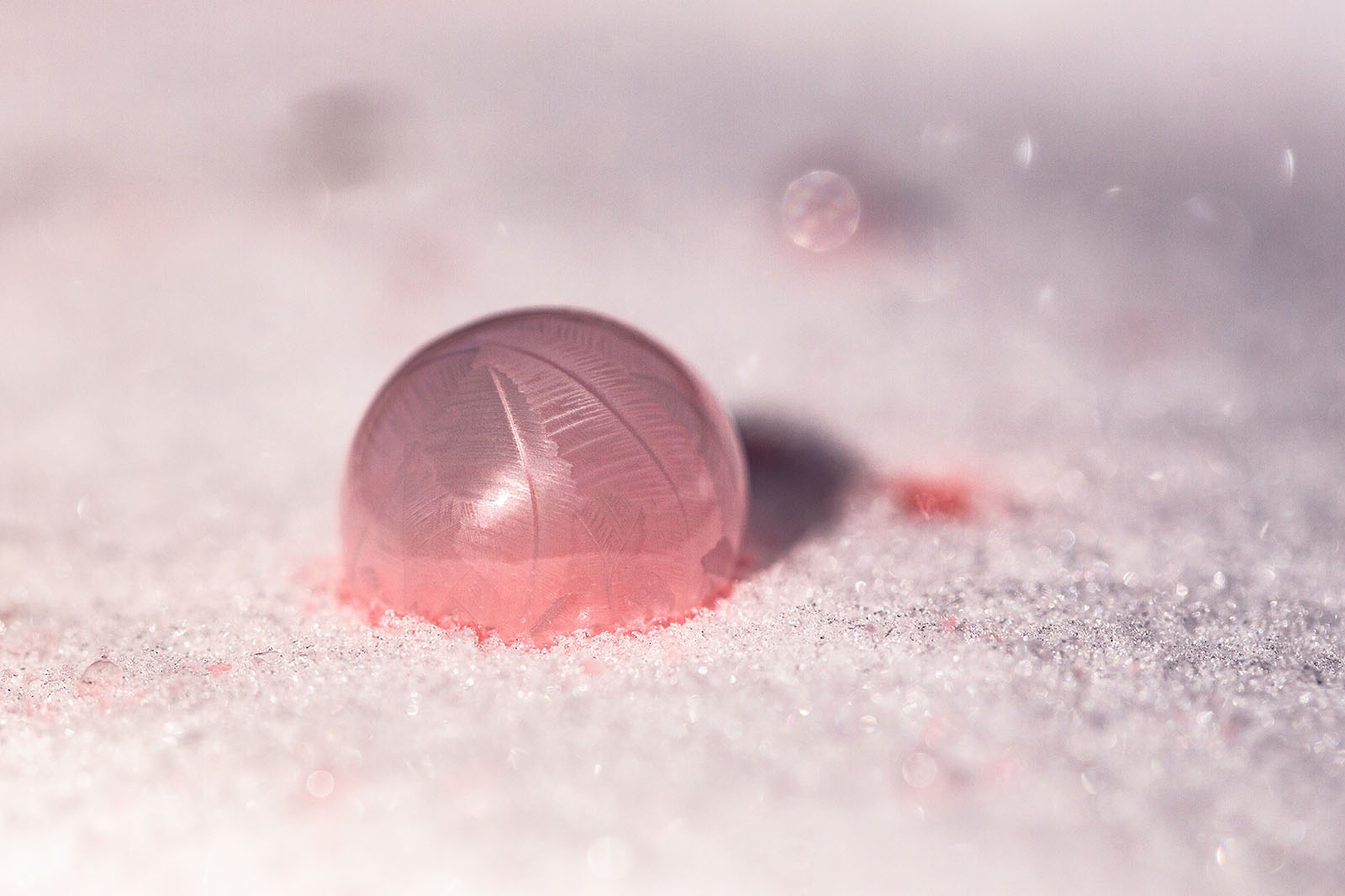 How to Freeze Bubbles - littleleapling.com