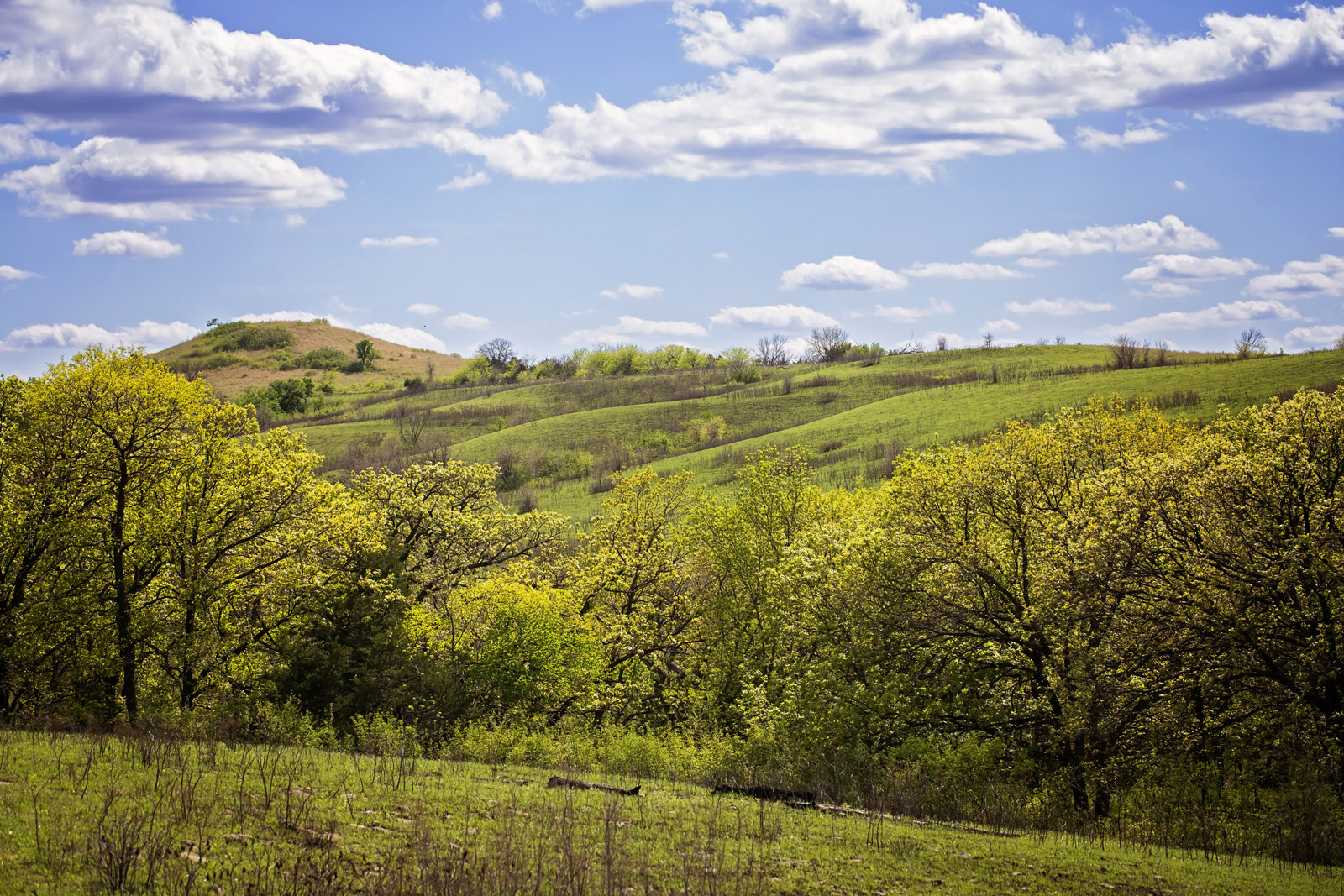 Hidden Gems in Kansas - littleleapling.com