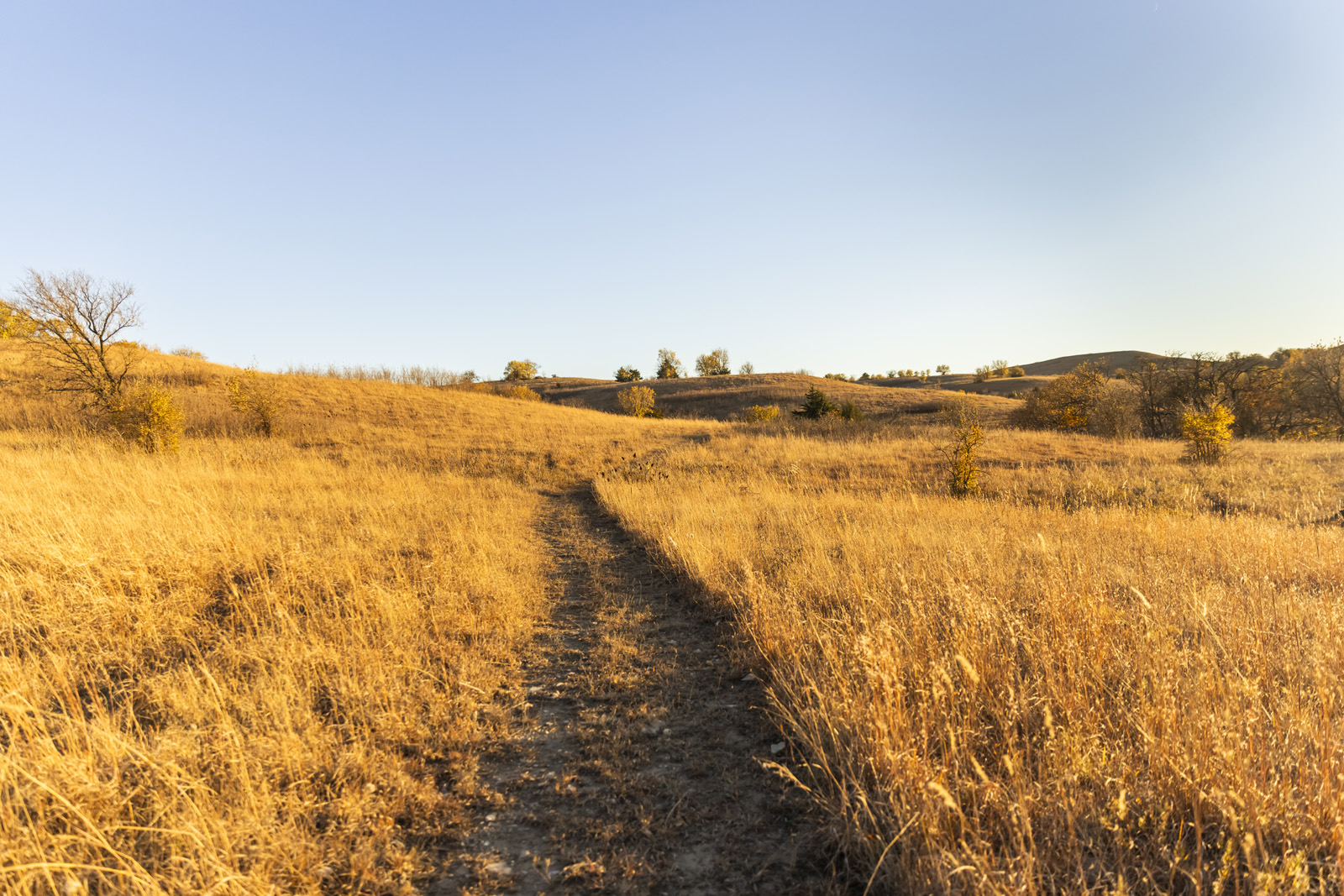 Hidden Gems in Kansas - littleleapling.com