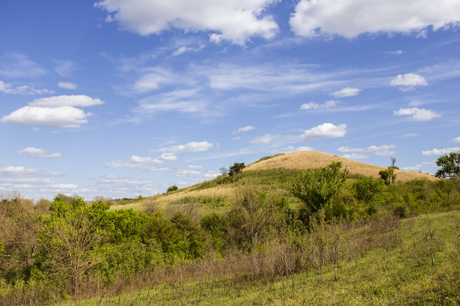Hidden Gems in Kansas - littleleapling.com